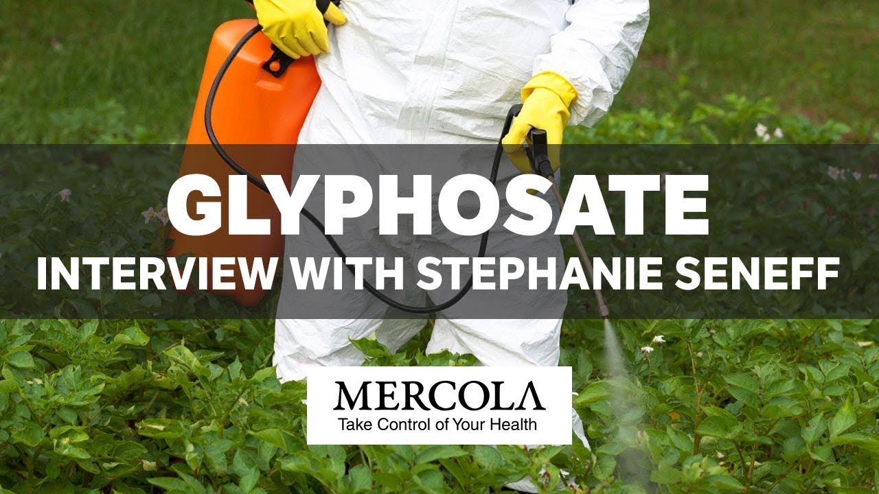 Glyphosate- Interview Preview with Dr. Seneff - The BATTLEFRONT