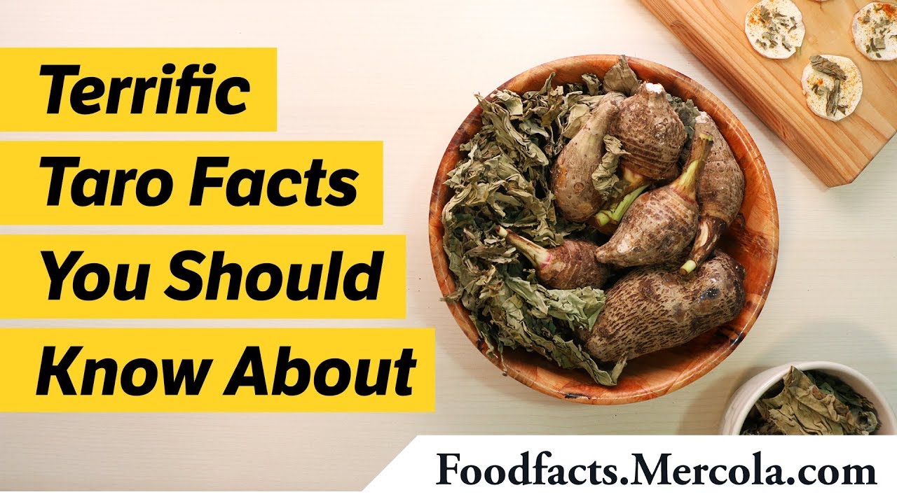 Terrific Taro Facts You Should Know About - The BATTLEFRONT