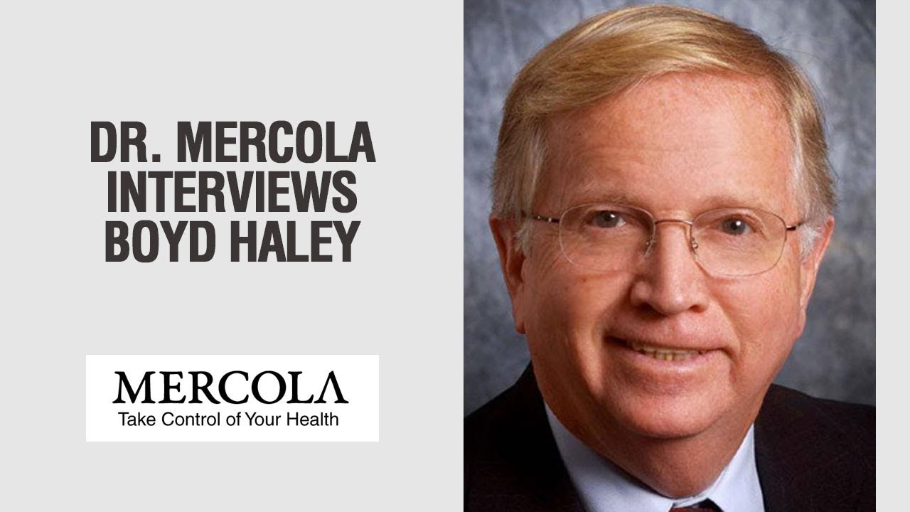 Treating Mercury Toxicity With Emeramide – Interview With Boyd Haley ...