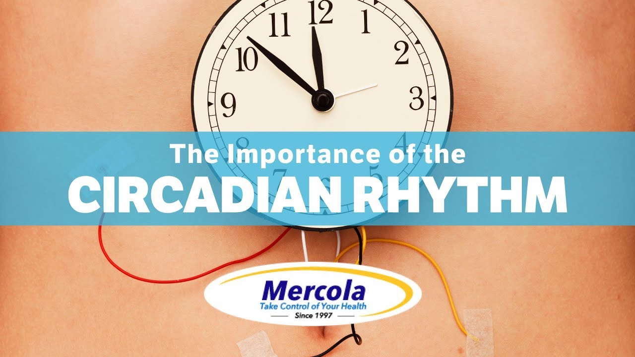 Dr. Mercola Interviews Satchidananda Panda on the Importance of the ...