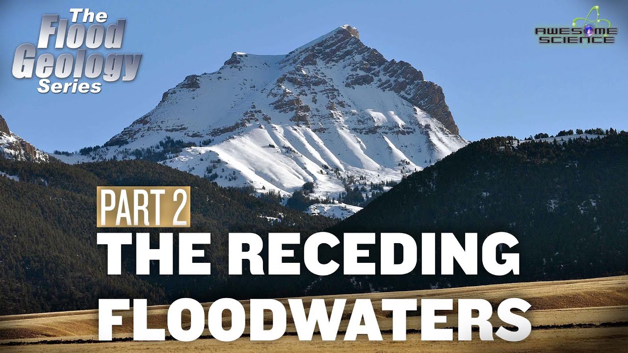 Receding Floodwaters Part2 | Flood Geology Series - The BATTLEFRONT
