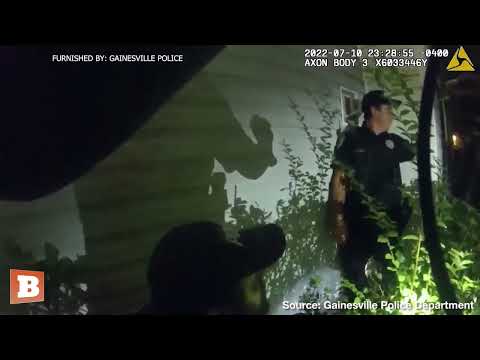 K9 Apprehension In Florida Suspect Loses Eye After Running From Police