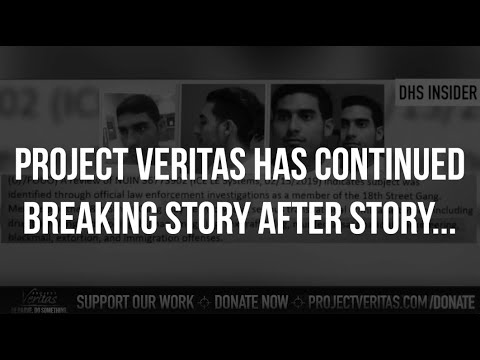 IMPACT: Project Veritas Continues To Break Story After Story - The ...