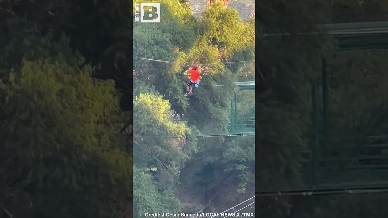CLOSE CALL: 6-Year-Old Survives Scary 40-FOOT FALL from Zipline into ...