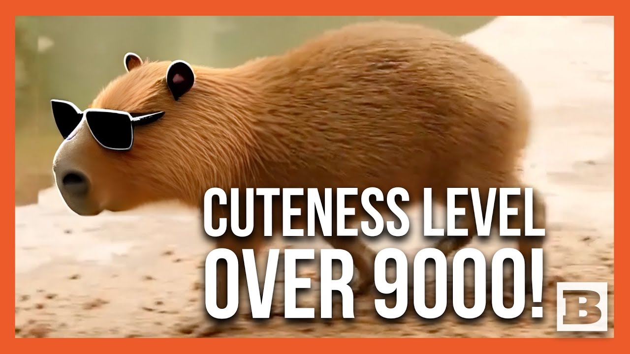 Baby Capybaras Show Off Massive Cuteness at Houston Zoo - The BATTLEFRONT