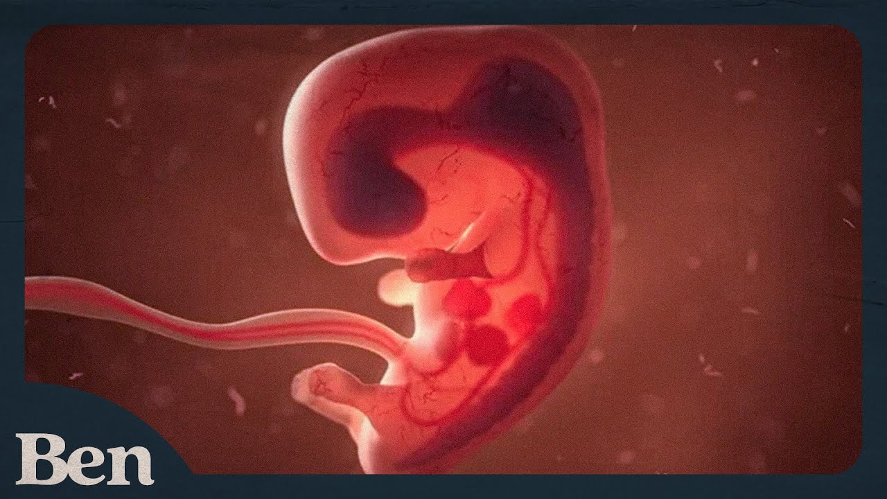 EXPLAINED: Alabama's Frozen Embryo Ruling - The BATTLEFRONT