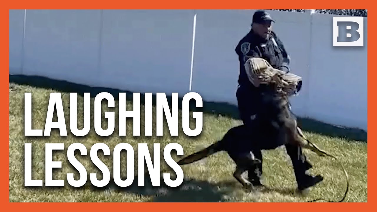 Police Dog Gets Last Laugh: K9 Tackles Officer in “Smile Contest ...