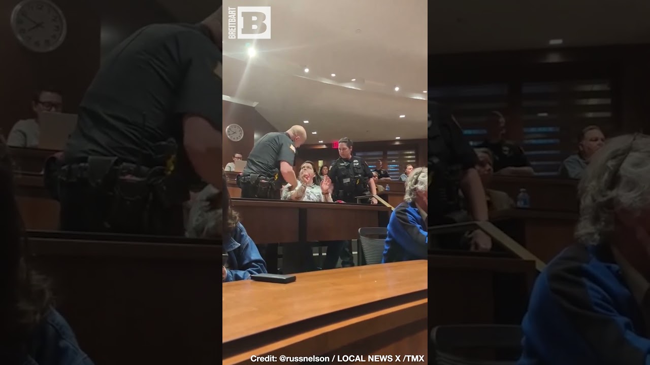 “Do Not Touch Me!” Cornell Professor Escorted Out of Ann Coulter Speech ...