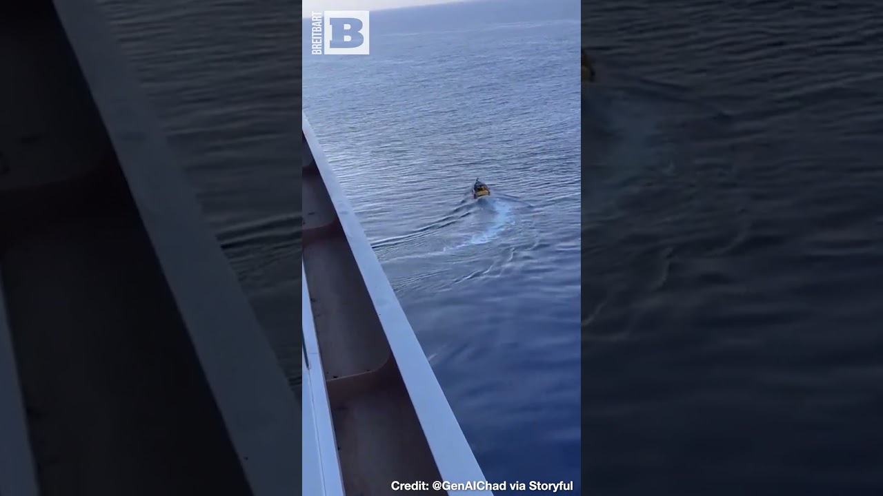 Man Who Jumped Off World’s Largest Cruise Ship Reported Dead - The ...