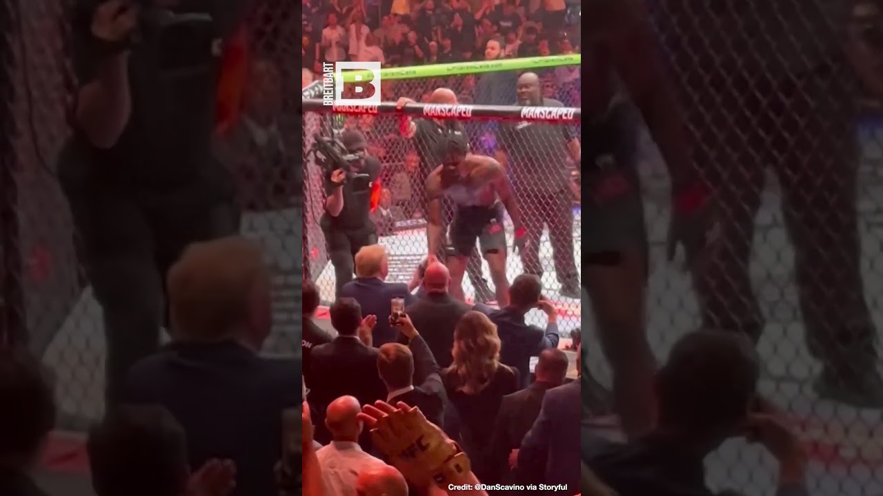 UFC Hearts Trump! UFC Crowds and Fighters Cheer Trump After Conviction ...